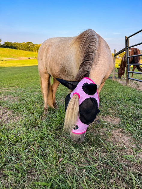 Baddie Fly Mask – Hustle and Home